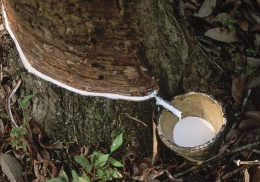 Rubber Kinds and Compounds | Bushing Design